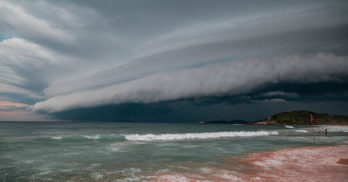 Menino de 13 anos com deficiência ganha surpresa mega fofa: uma ...