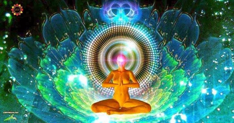 CARMA: entenda o que significa e como funciona essa lei!