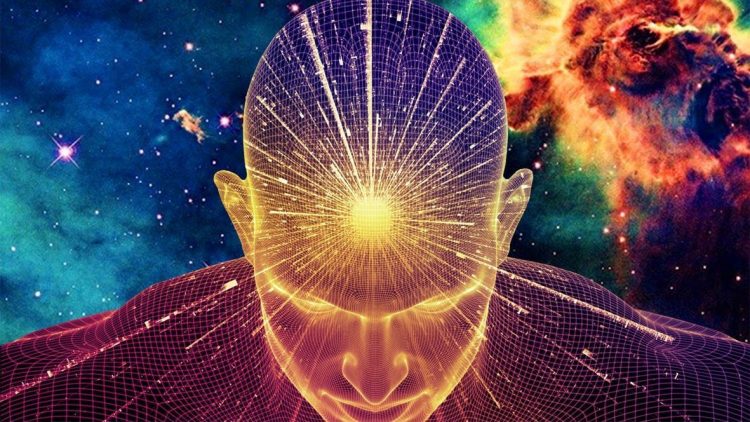 CARMA: entenda o que significa e como funciona essa lei!