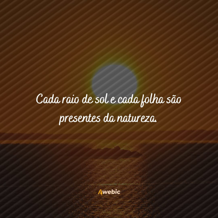 120 legendas para fotos Tumblr no sol: mostre seu lindo BRILHO