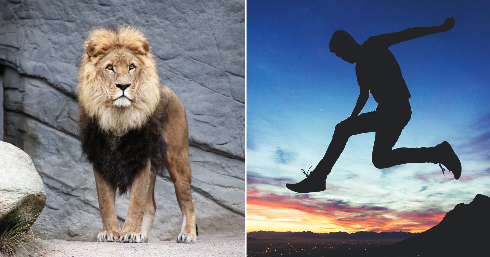 Como conquistar um homem de leão e fazê-lo se apaixonar por você