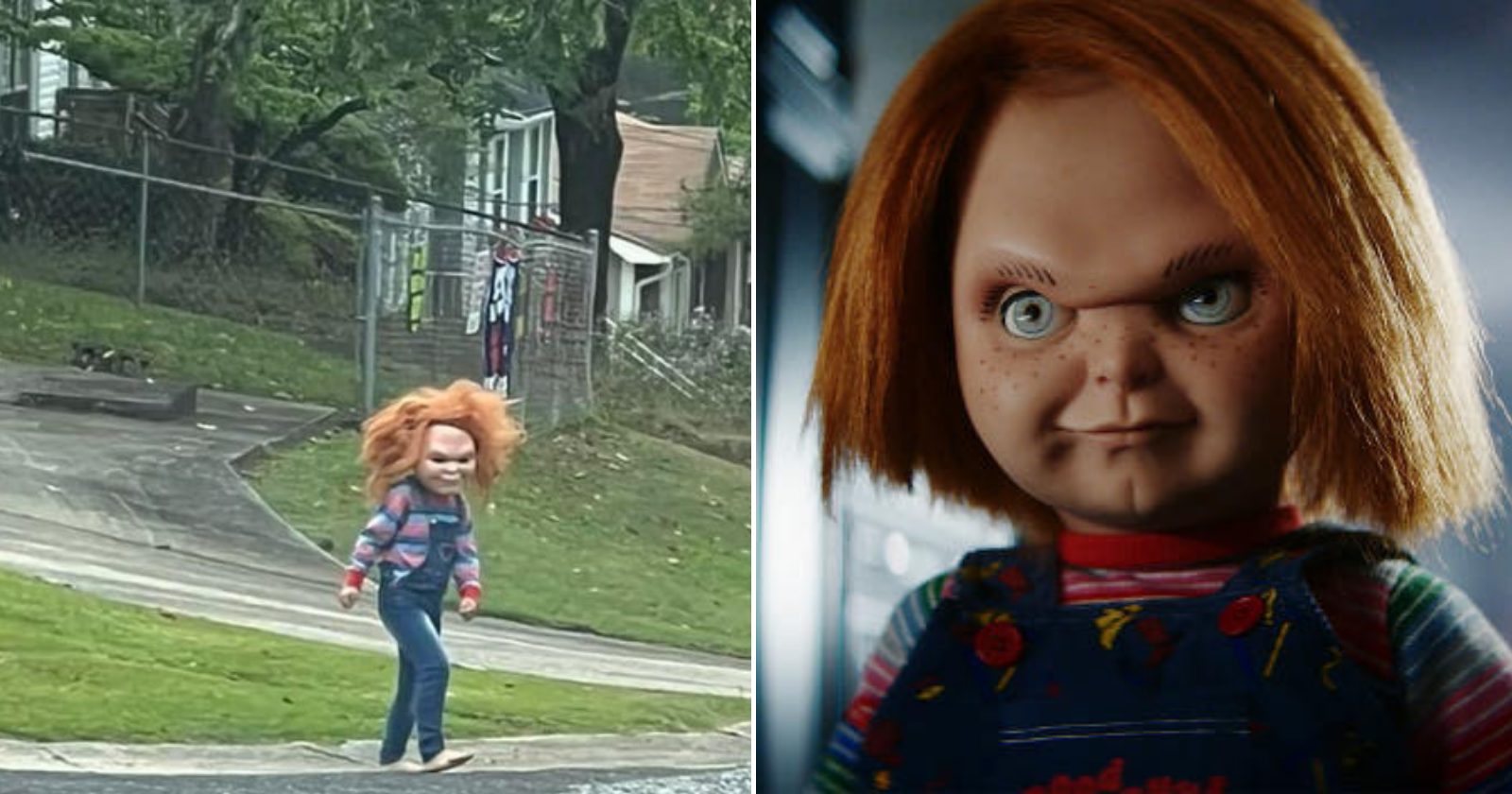 Chucky "aterroriza" vizinhança e imagens fazem a alegria da web; vem ver