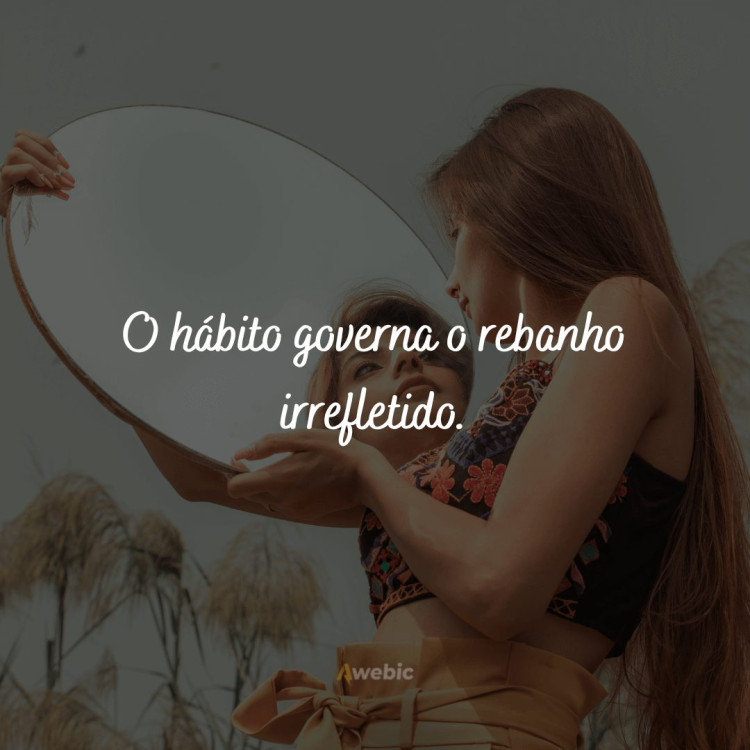 63 frases sobre espelho para te fazer pensar bastante sobre seu reflexo ...