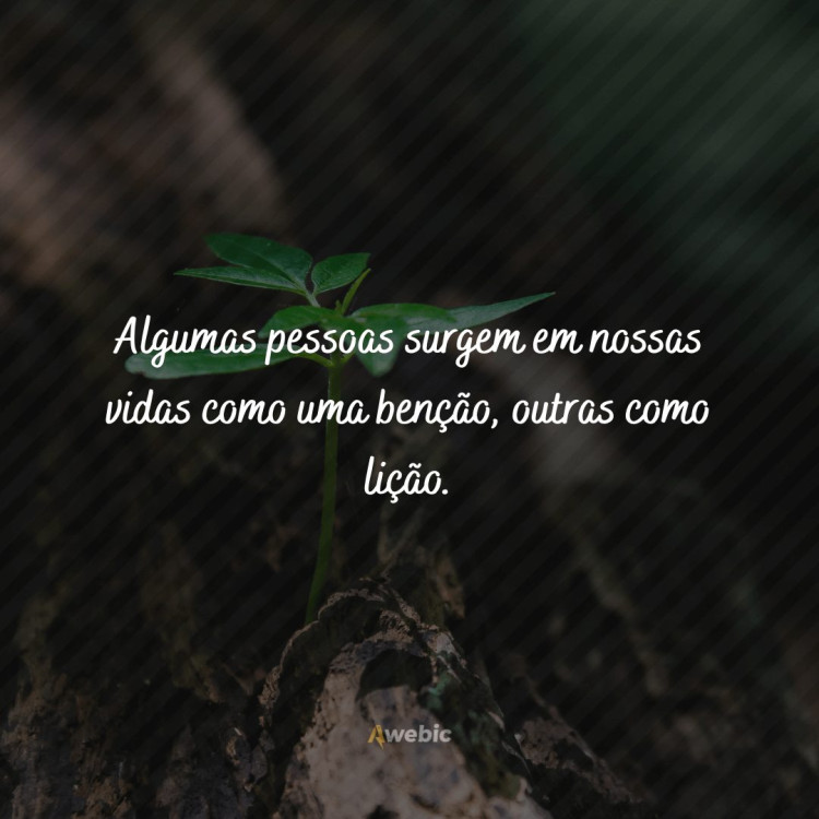 +180 frases de REFLEXÃO sobre a vida para te fazer pensar