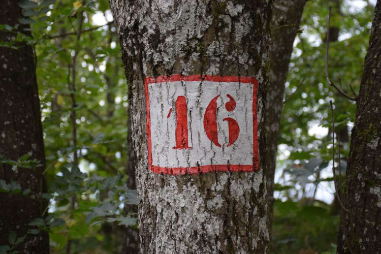 16:16 Horas Iguais: Significado completo dessa hora
