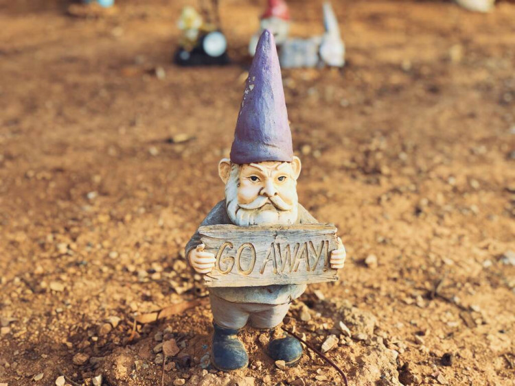 Significado espiritual de gnomos: tudo o que você precisa saber