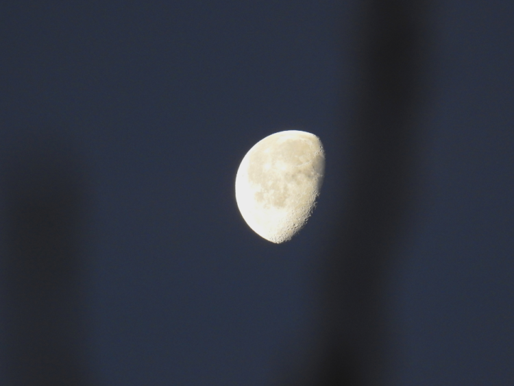 Fase da Lua de 16/05/2025: a energia da Lua Minguante e o que observar ...