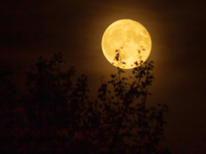 Fase da Lua de hoje, 12/05/2025. Como observar o céu e entender os ...